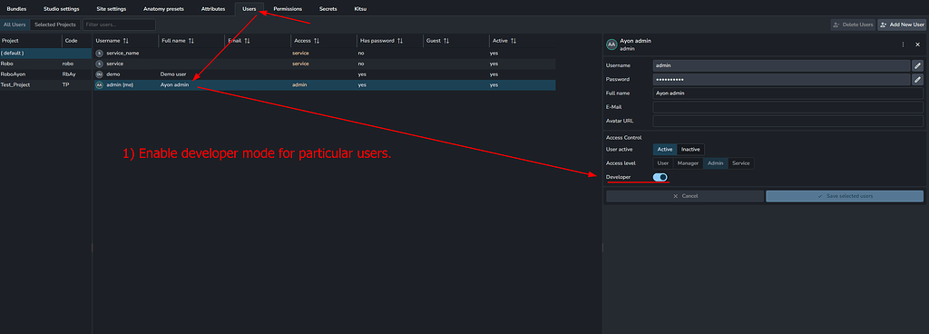 Ayon Developer Mode -- Guide - Community Guides - Ynput community